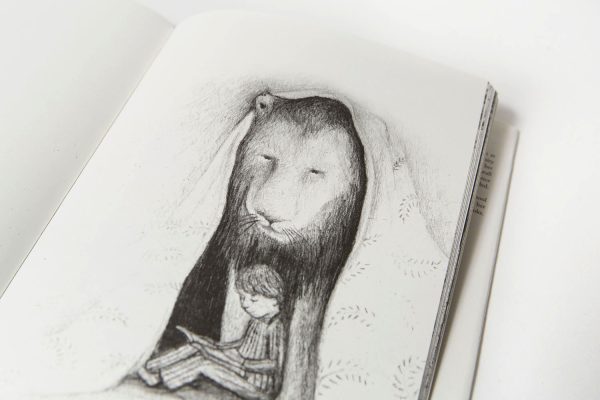 Night Night Lily – Limited Edition Book – Esther Connon