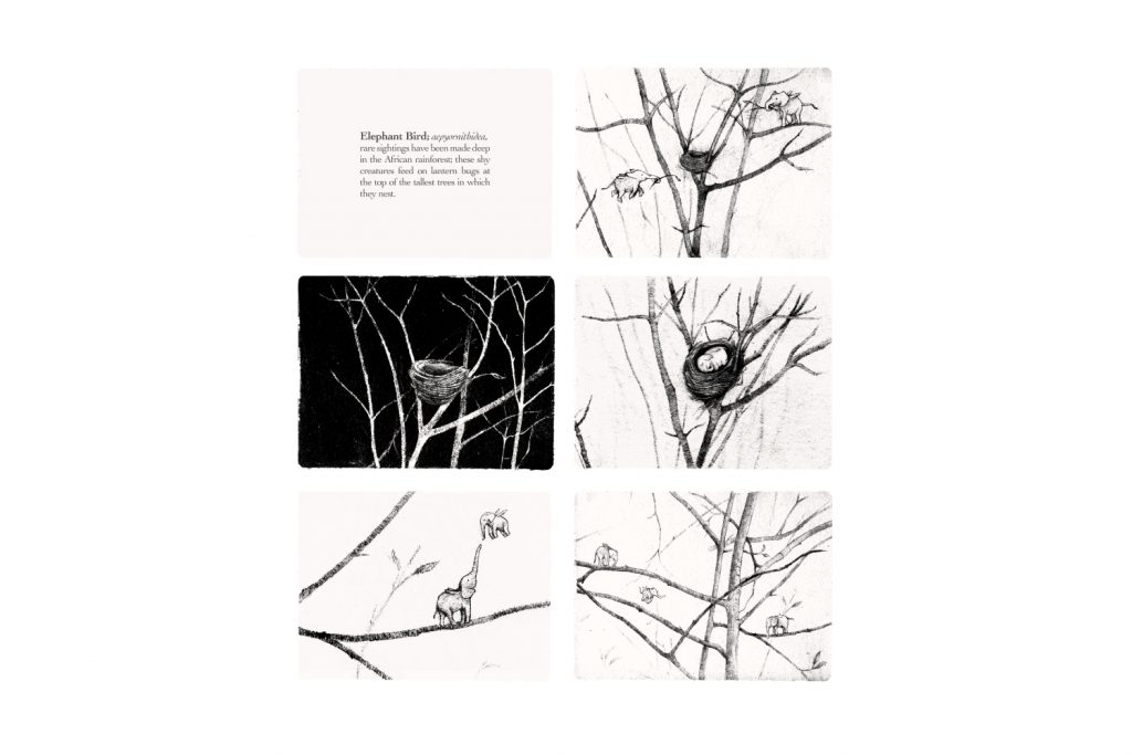 Elephant Bird Storyboard Print – Esther Connon