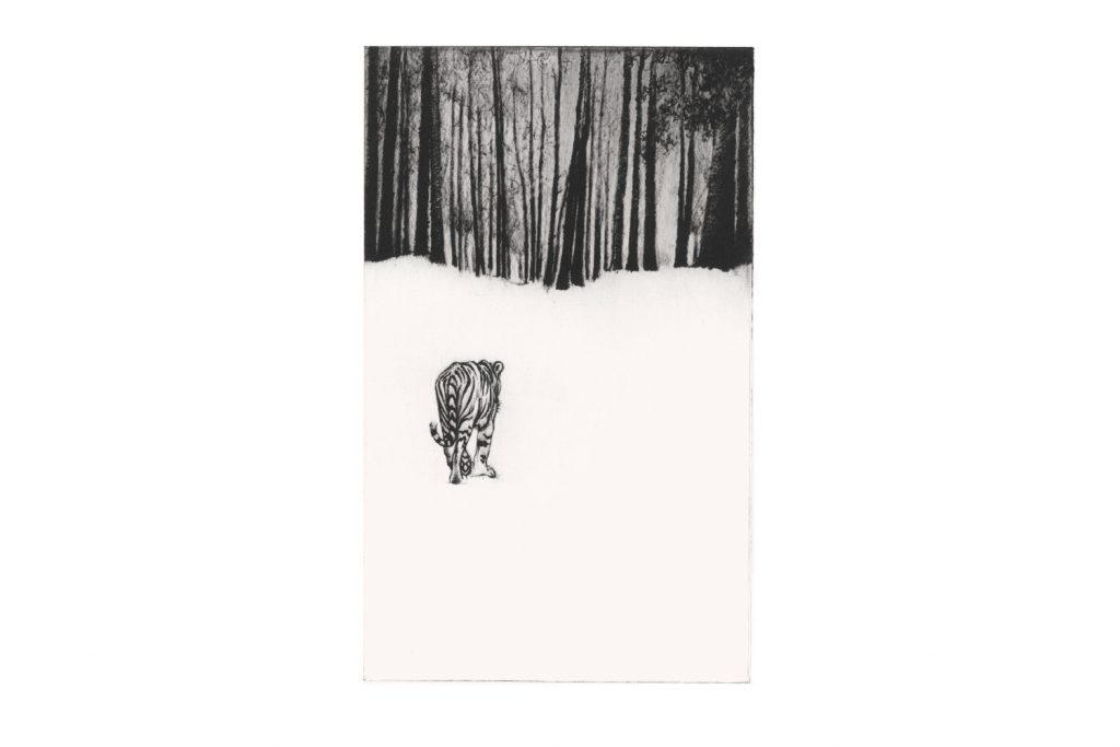 Tiger Walking in Woods Print – Esther Connon