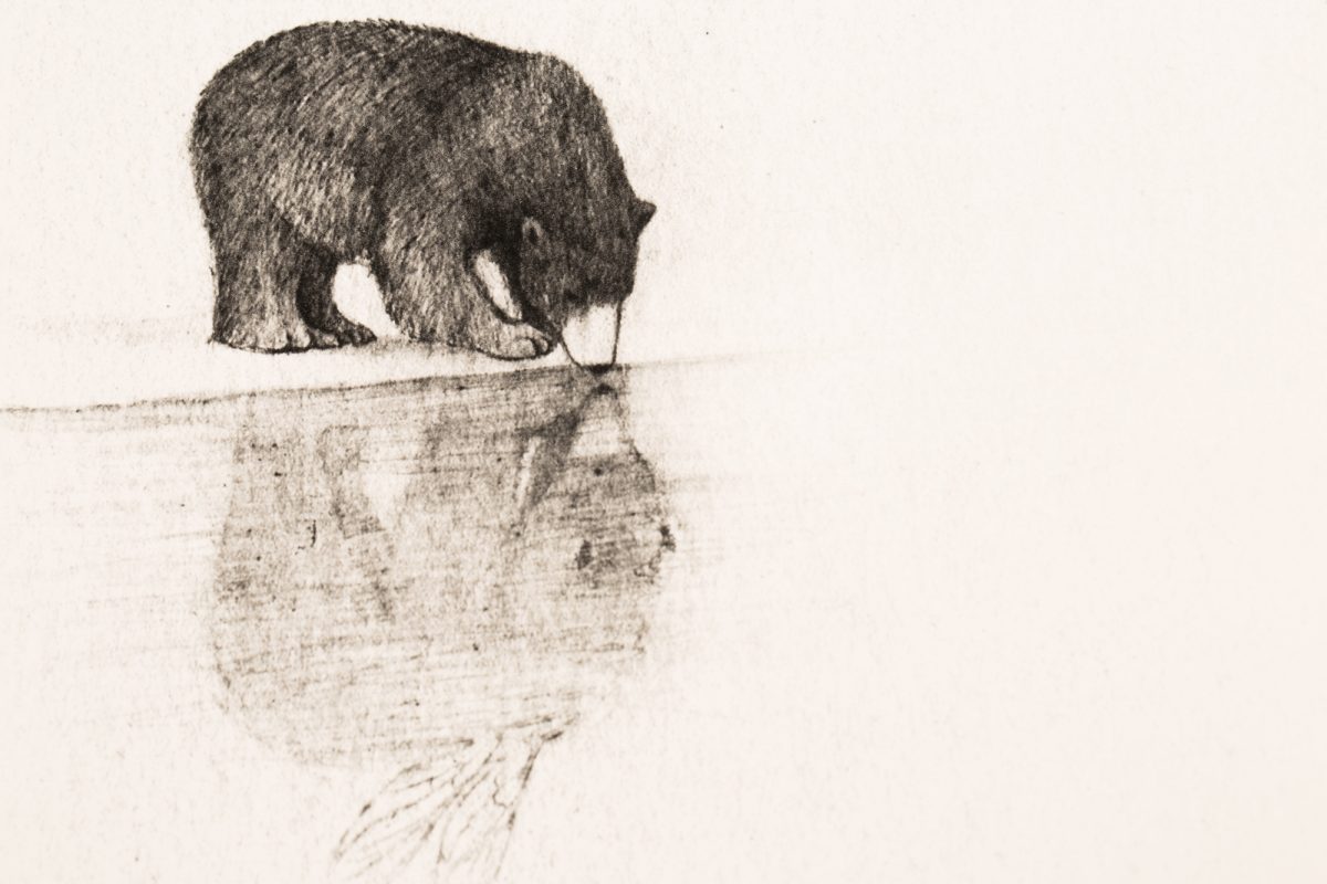 Bear Print – Bear with Reflection Square – Esther Connon