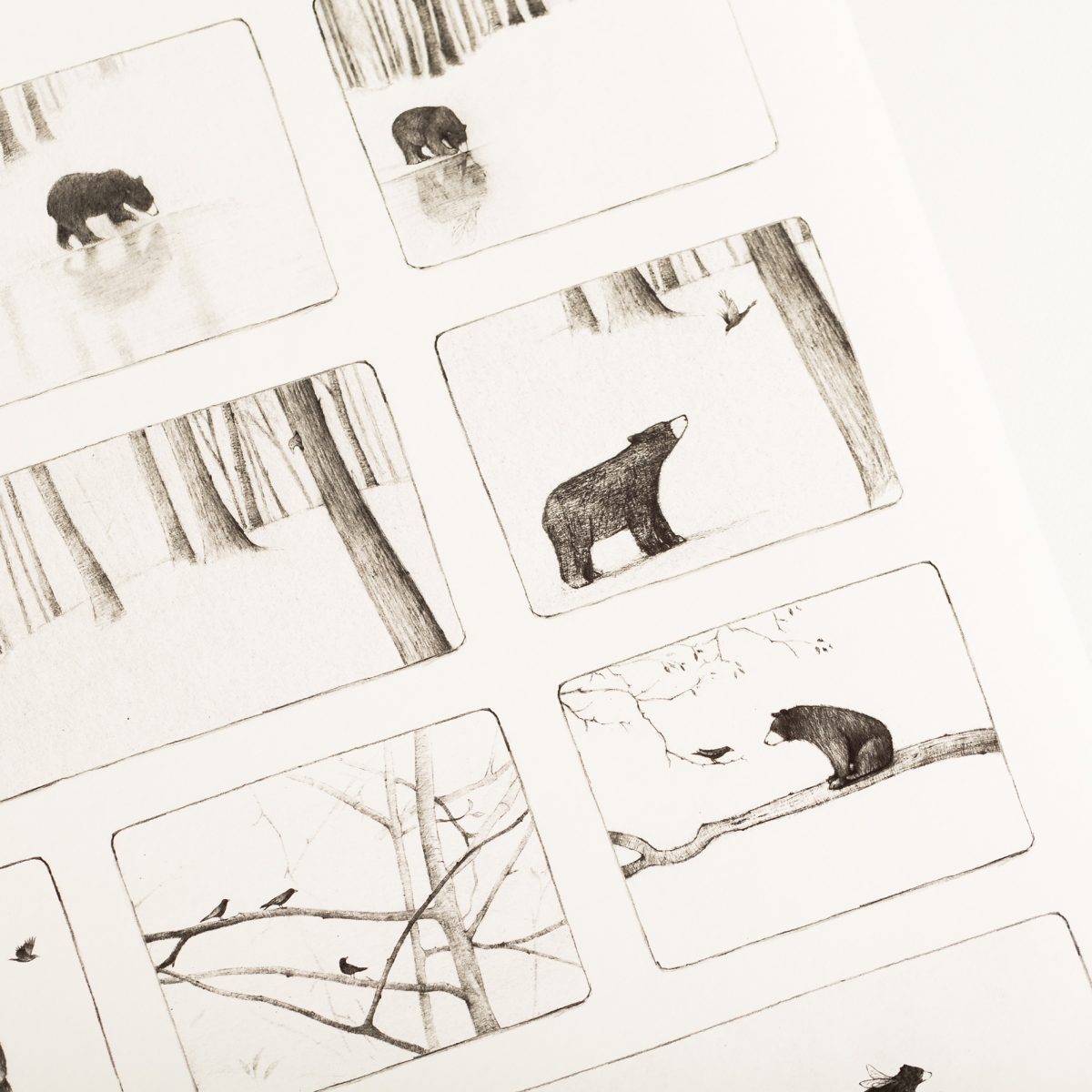 Bear Storyboard Print 3 LARGE – Esther Connon