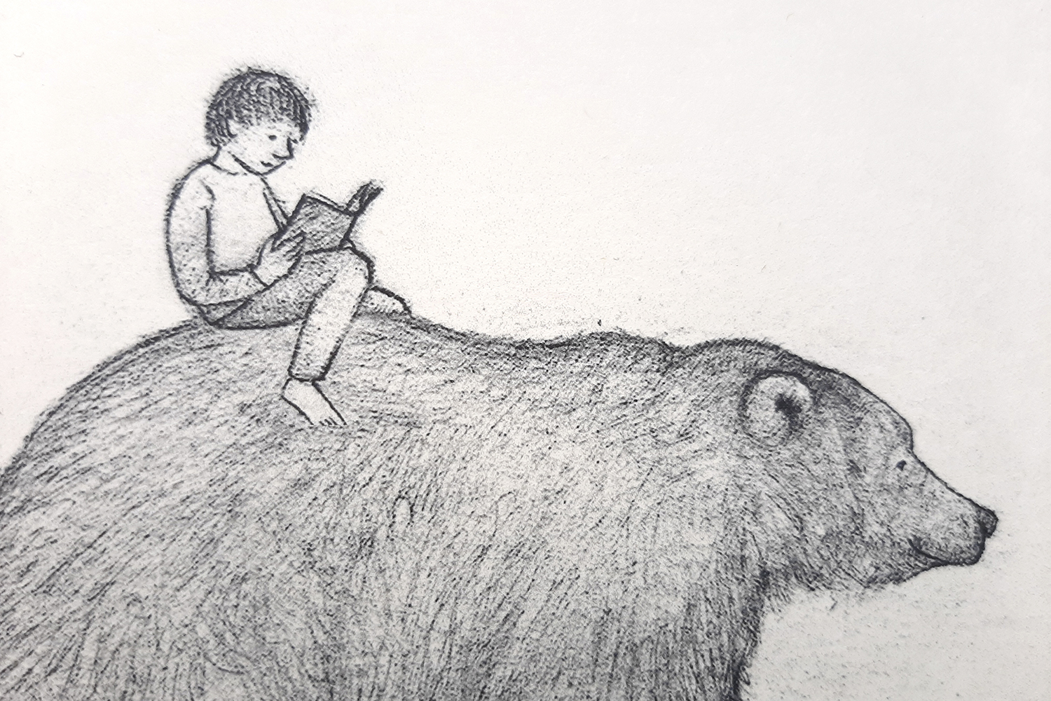 Bear Print – ‘The Reader’ – Esther Connon